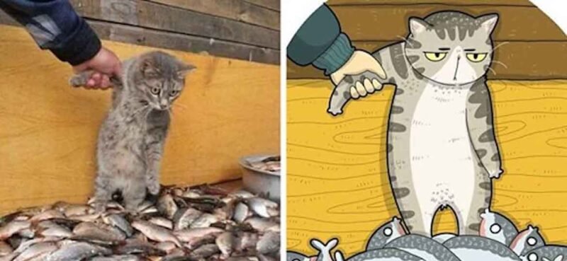 D’où vient le symbole du Chat Noir anarchiste ? – catissimo